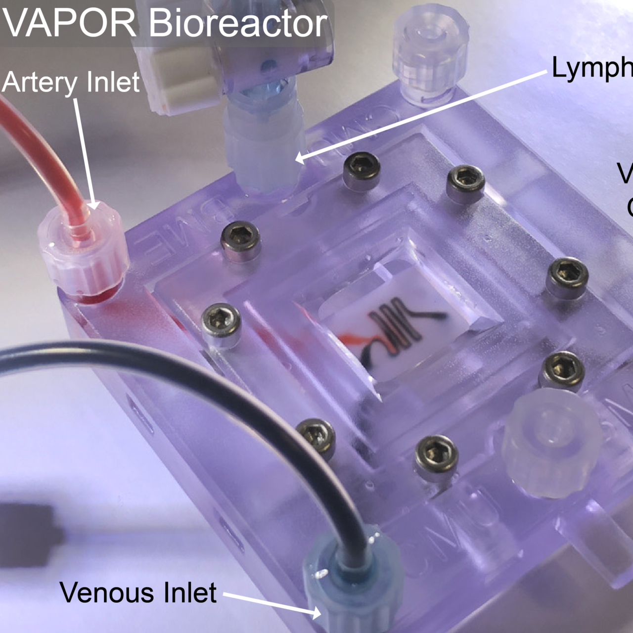 Research - Shiwarski Tissue Engineering Lab